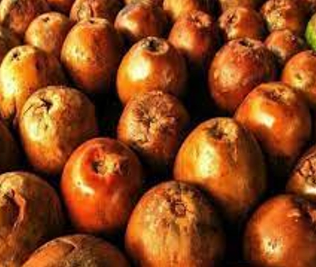 IMPAS COLOMBIA - Comercializadora Internacional